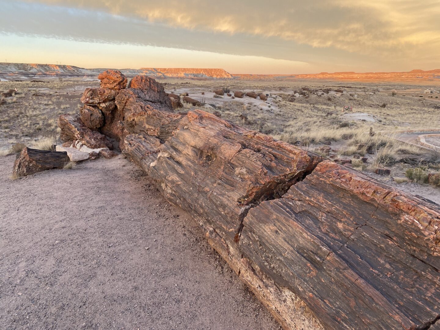 Visiting Petrified Forest National park: Best things to see and do.