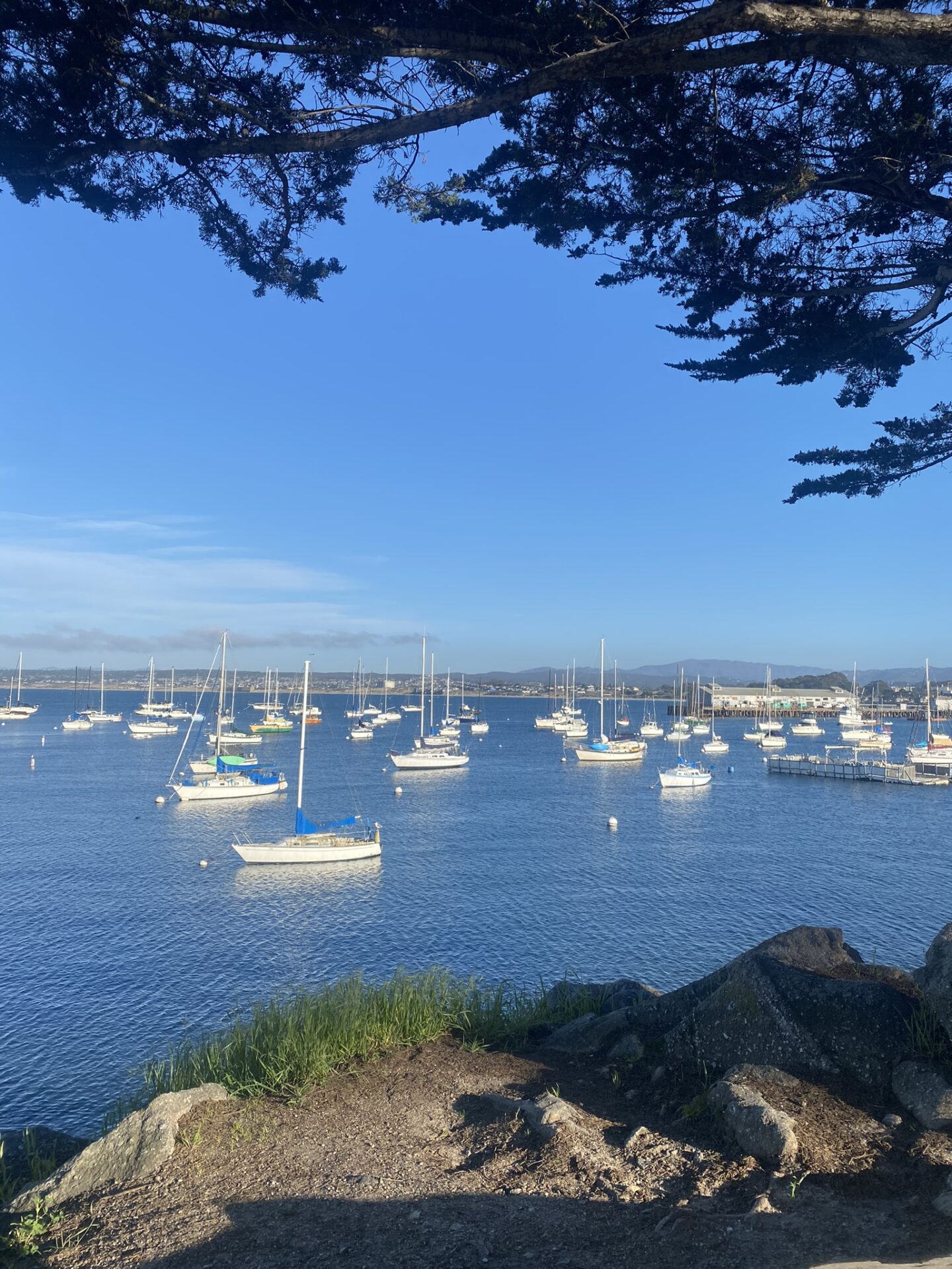 How to spend one Day in Monterey - Places and Recipes How to spend one Day in Monterey - Places and Recipes