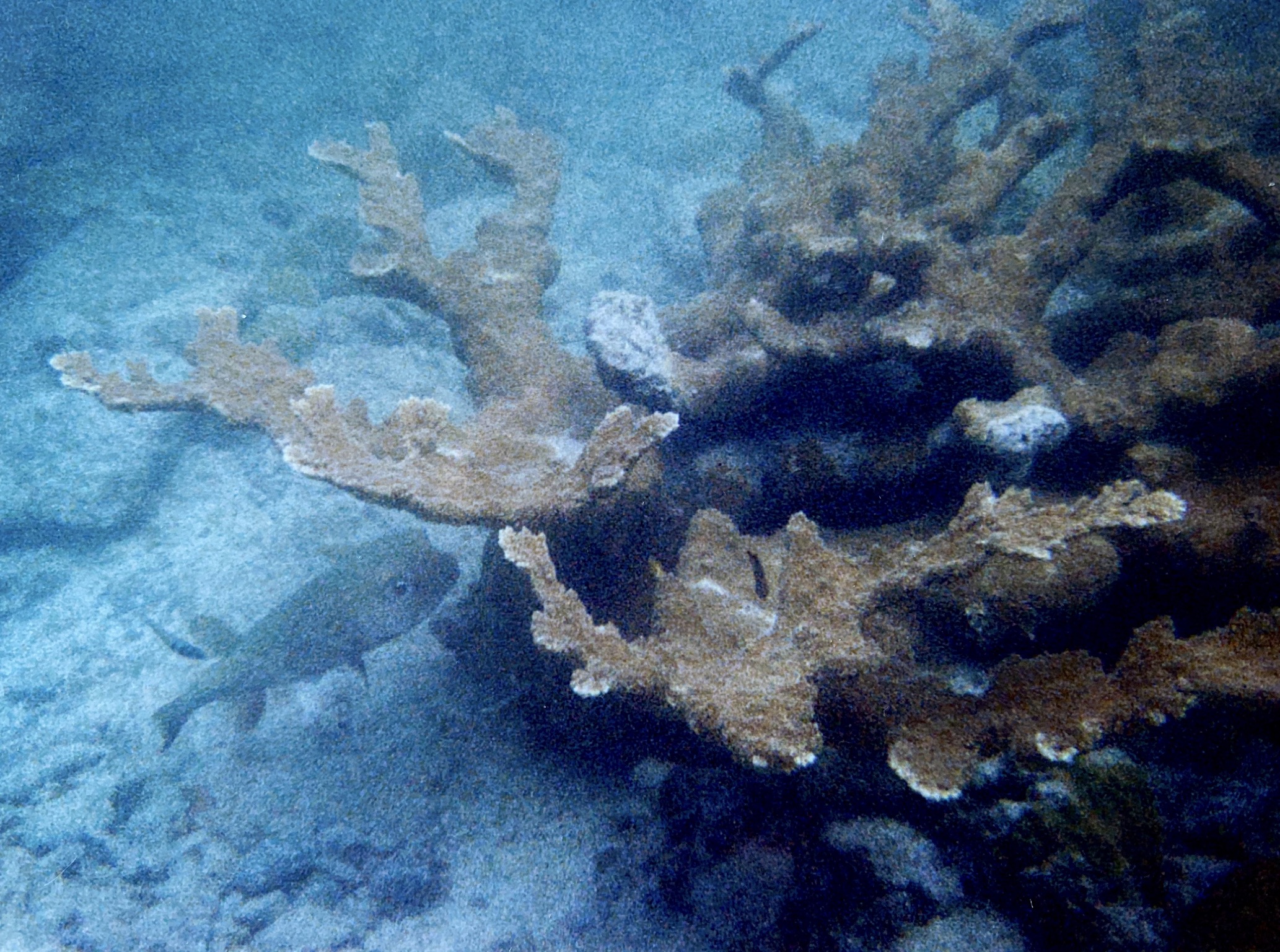 St. John on a budget - My list of free top things to see and do on St ...