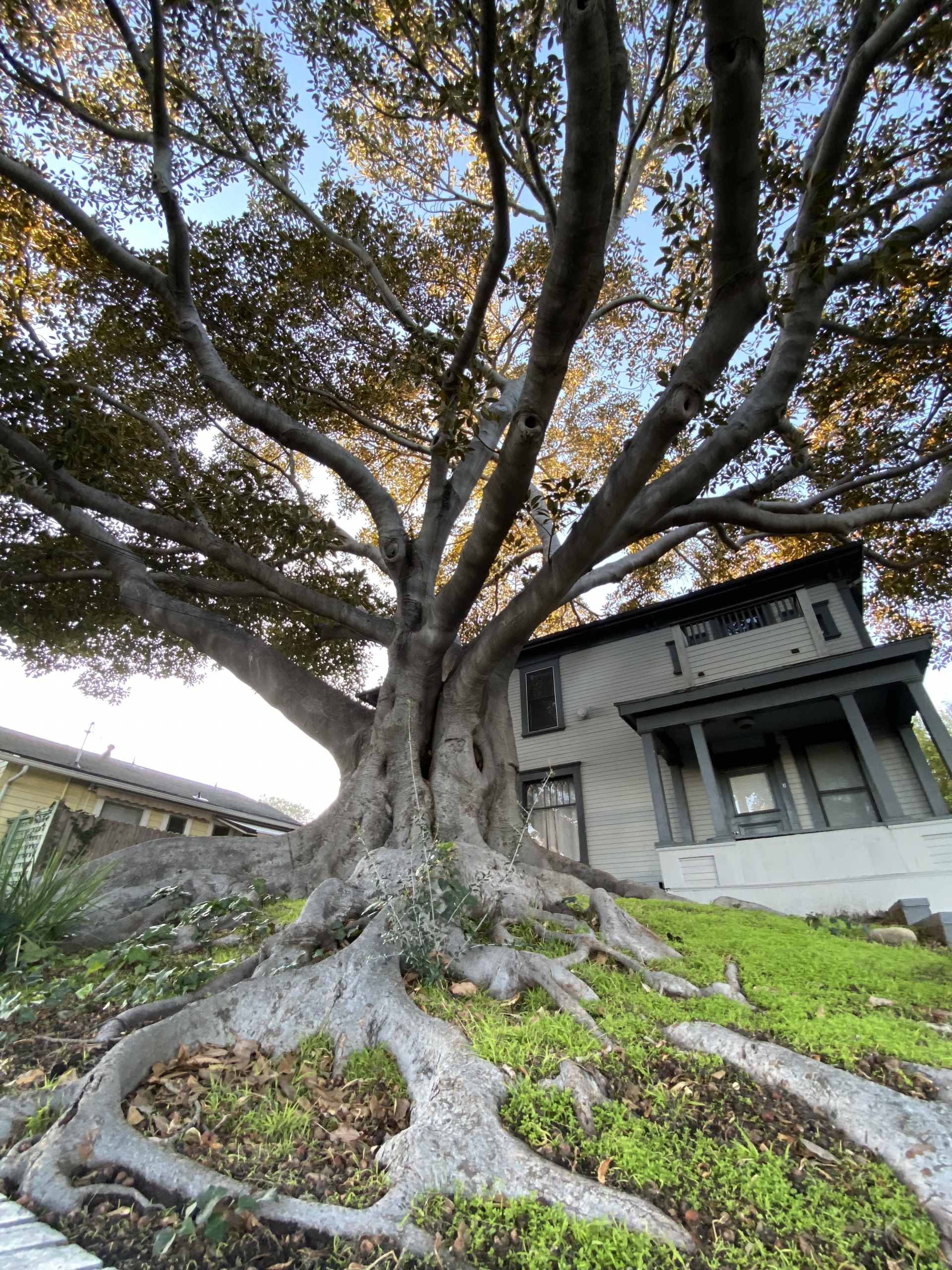 How to spend 8 hours in Santa Barbara for first time visitors - Places ...