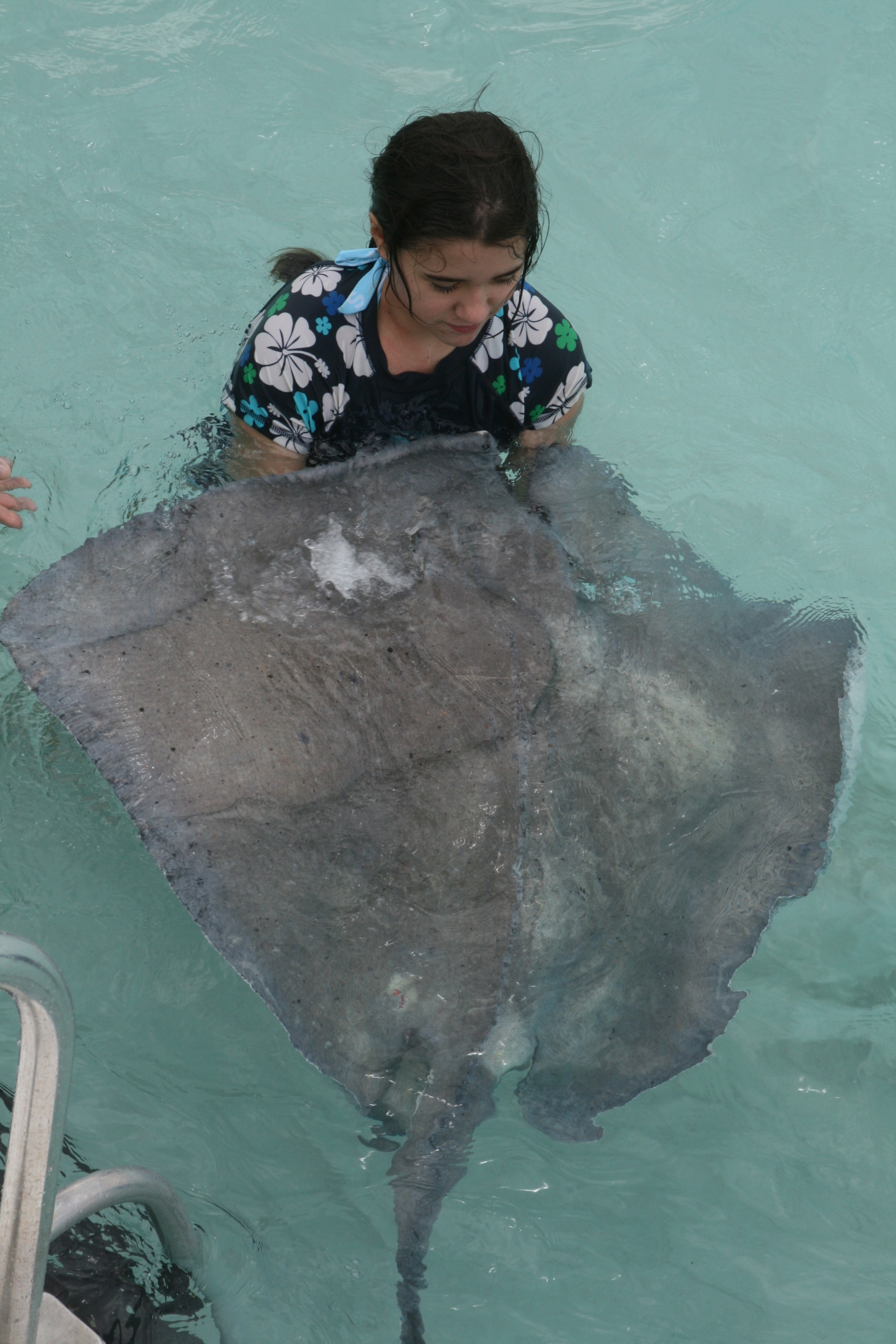 One day on Grand Cayman- Best things to see and do - Places and Recipes