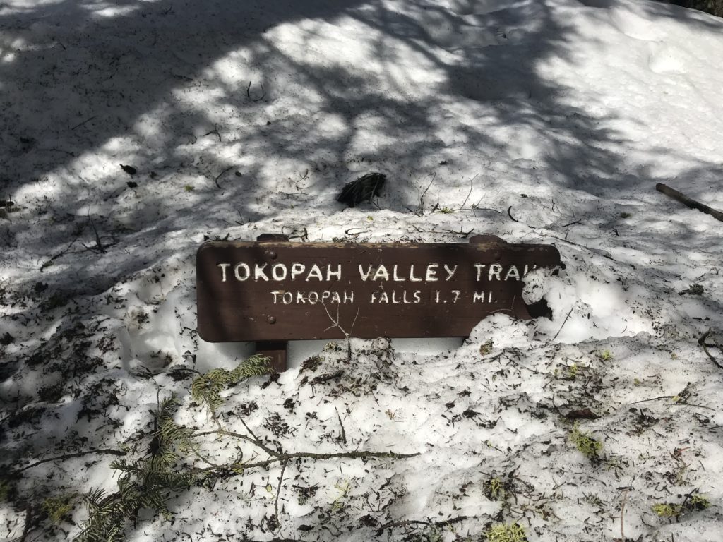 5 reasons to visit Sequoia National Park in Spring - Places and Recipes