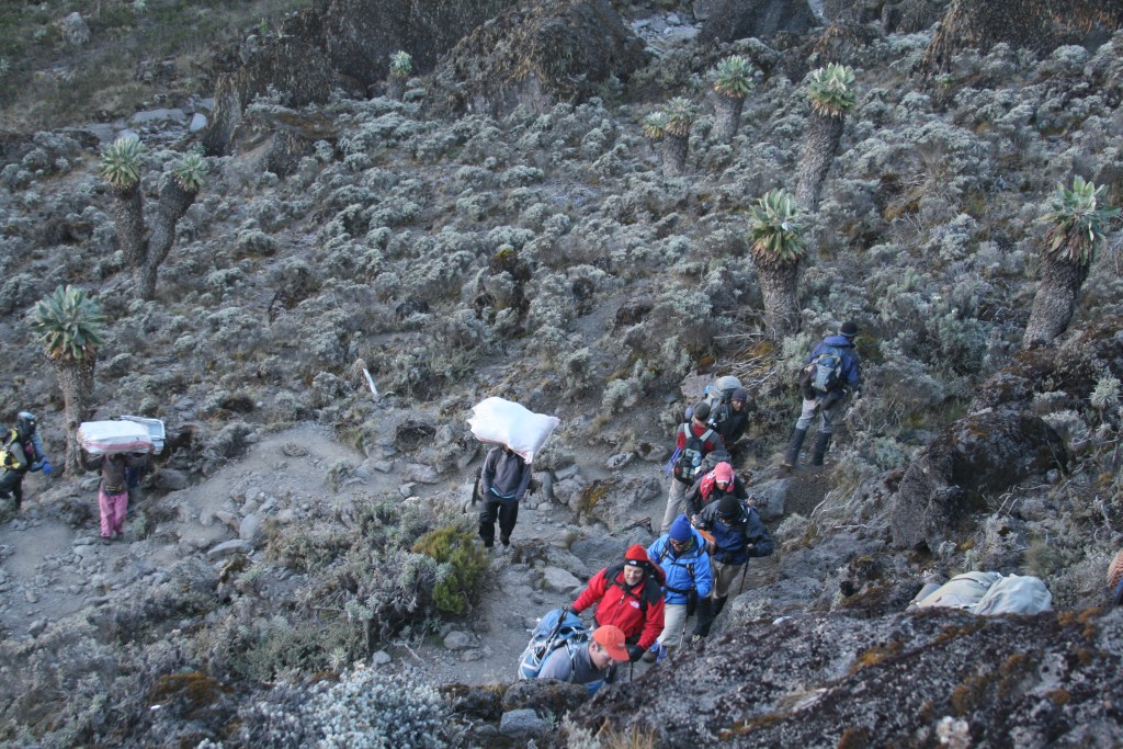 Day 5 Kilimanjaro climb via Lemosho route - Barranco Wall - Places and ...
