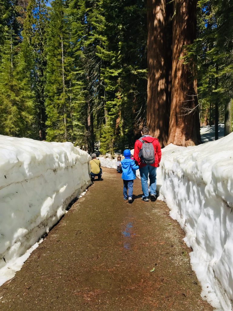5 reasons to visit Sequoia National Park in Spring - Places and Recipes