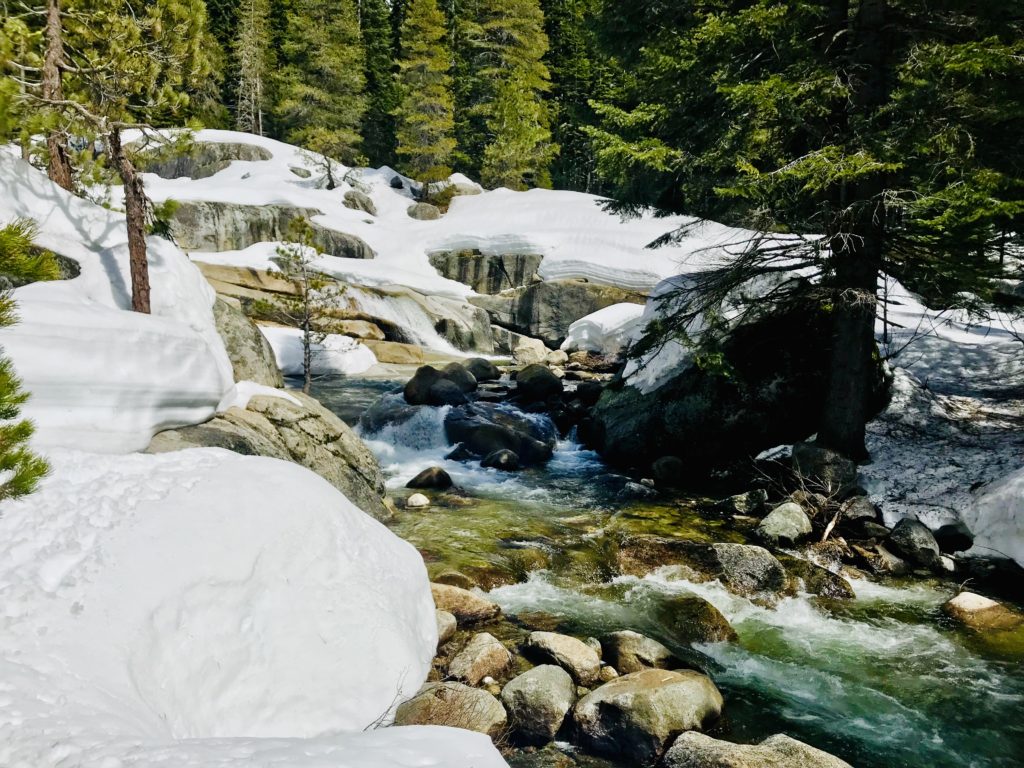5 reasons to visit Sequoia National Park in Spring - Places and Recipes