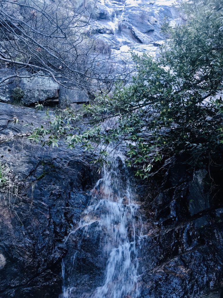 5 reasons to visit Sequoia National Park in Spring - Places and Recipes