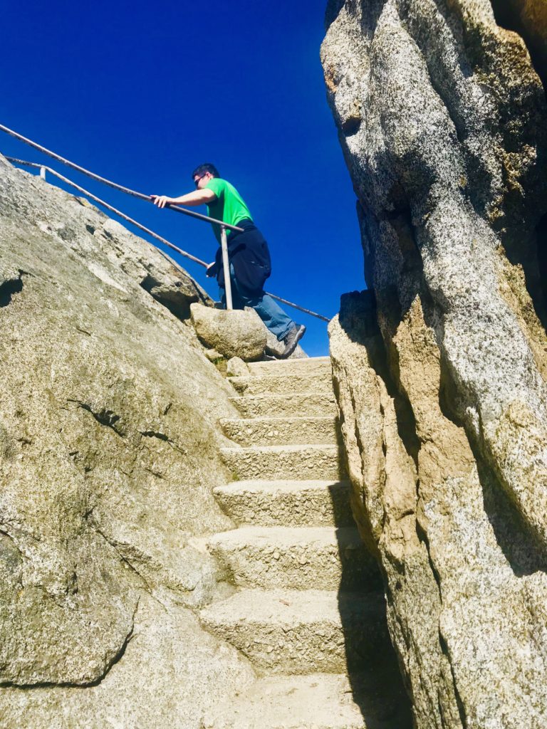 5 reasons to visit Sequoia National Park in Spring - Places and Recipes