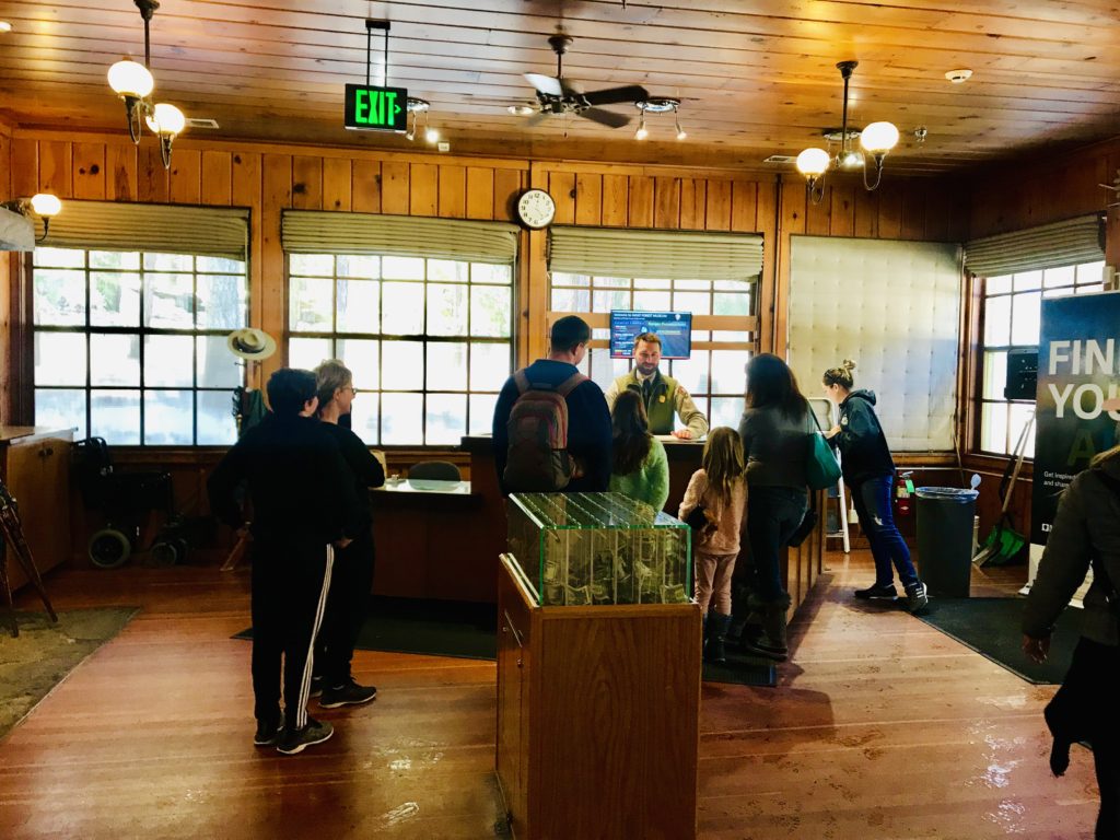 5 reasons to visit Sequoia National Park in Spring - Places and Recipes