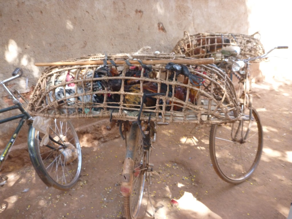 How to spend one day in Moshi, Tanzania - Places and Recipes