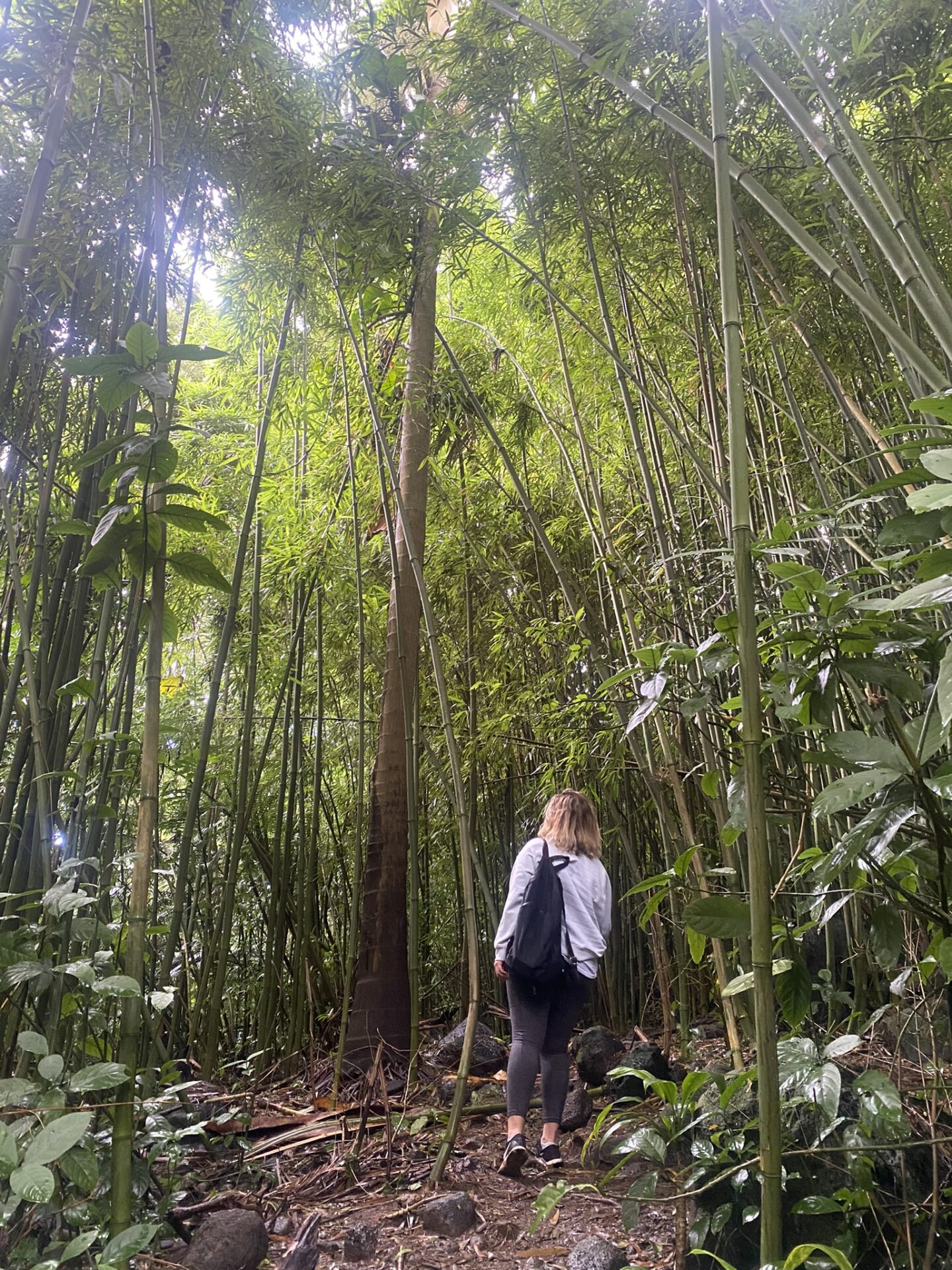 5 Oahu's Best Hikes: From Waterfalls to Volcanic Craters - Places and ...