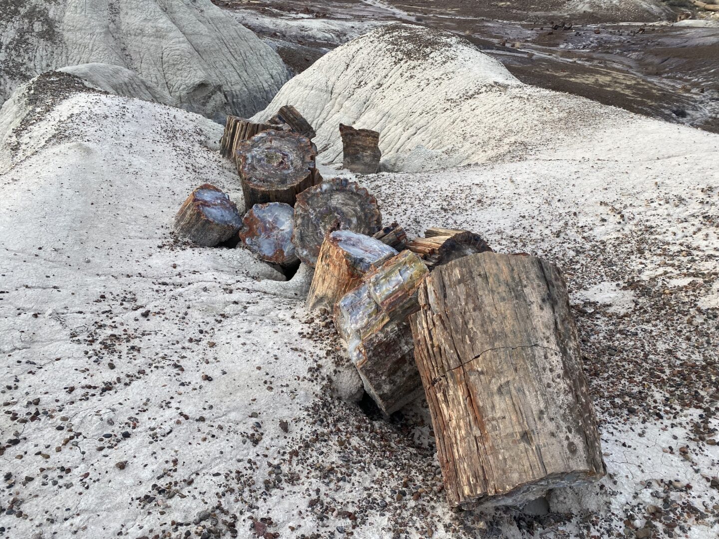Visiting Petrified Forest National park: Best things to see and do.