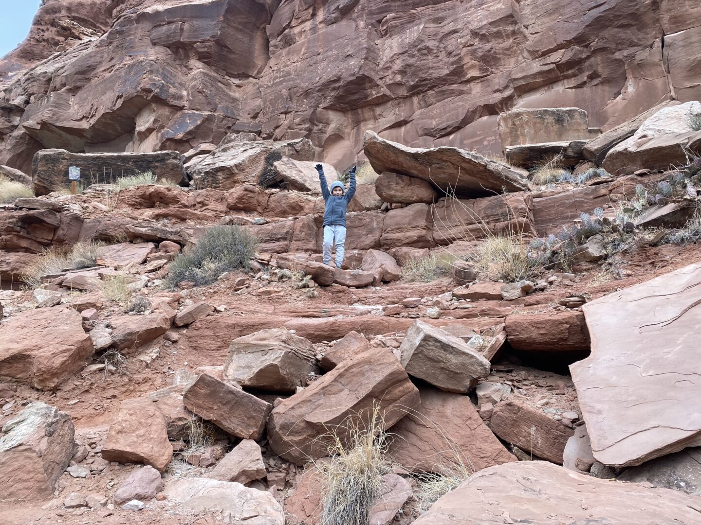 Tracing the Footsteps of Dinosaurs: Where to find dinosaur tracks in Utah
