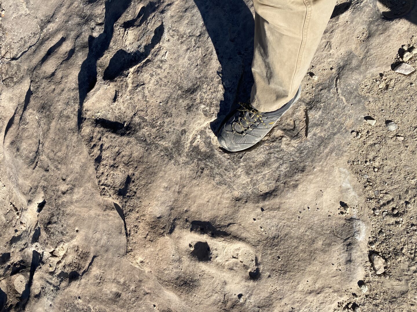 Tracing the Footsteps of Dinosaurs: Where to find dinosaur tracks in Utah