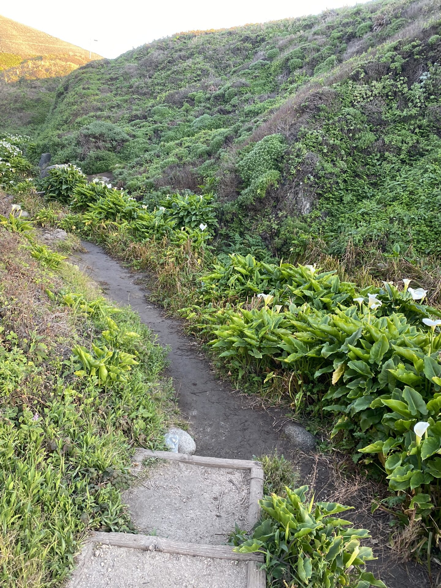 The Ultimate Big Sur Bucket List: Must-See places - Places and Recipes
