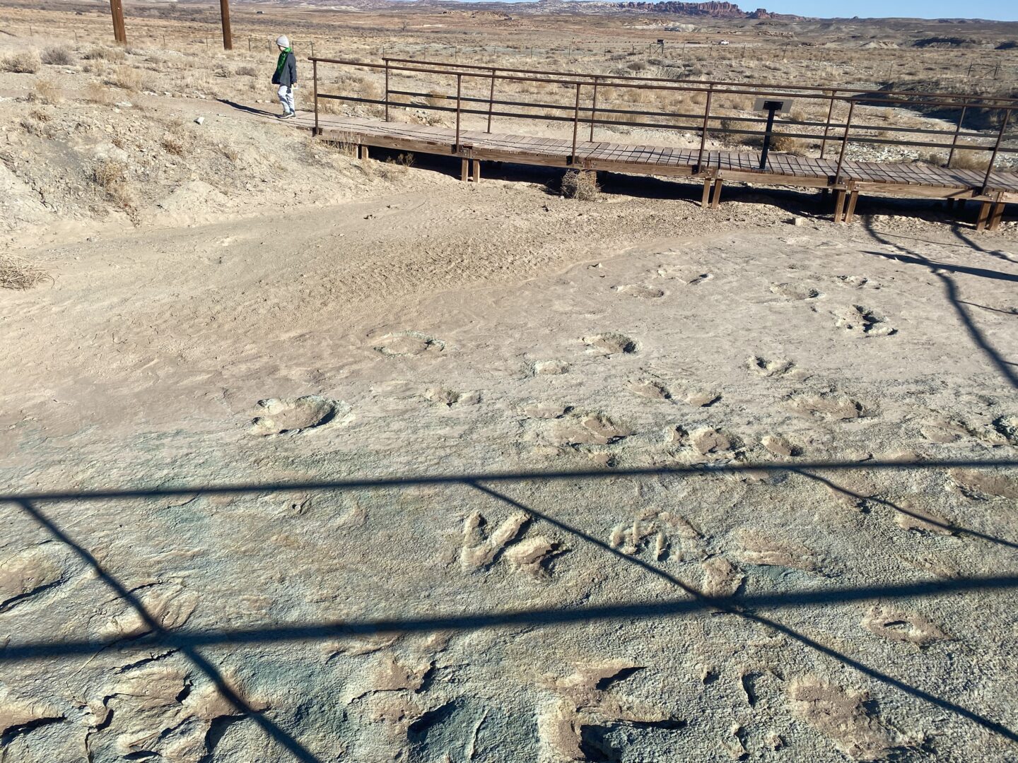 Tracing the Footsteps of Dinosaurs: Where to find dinosaur tracks in Utah