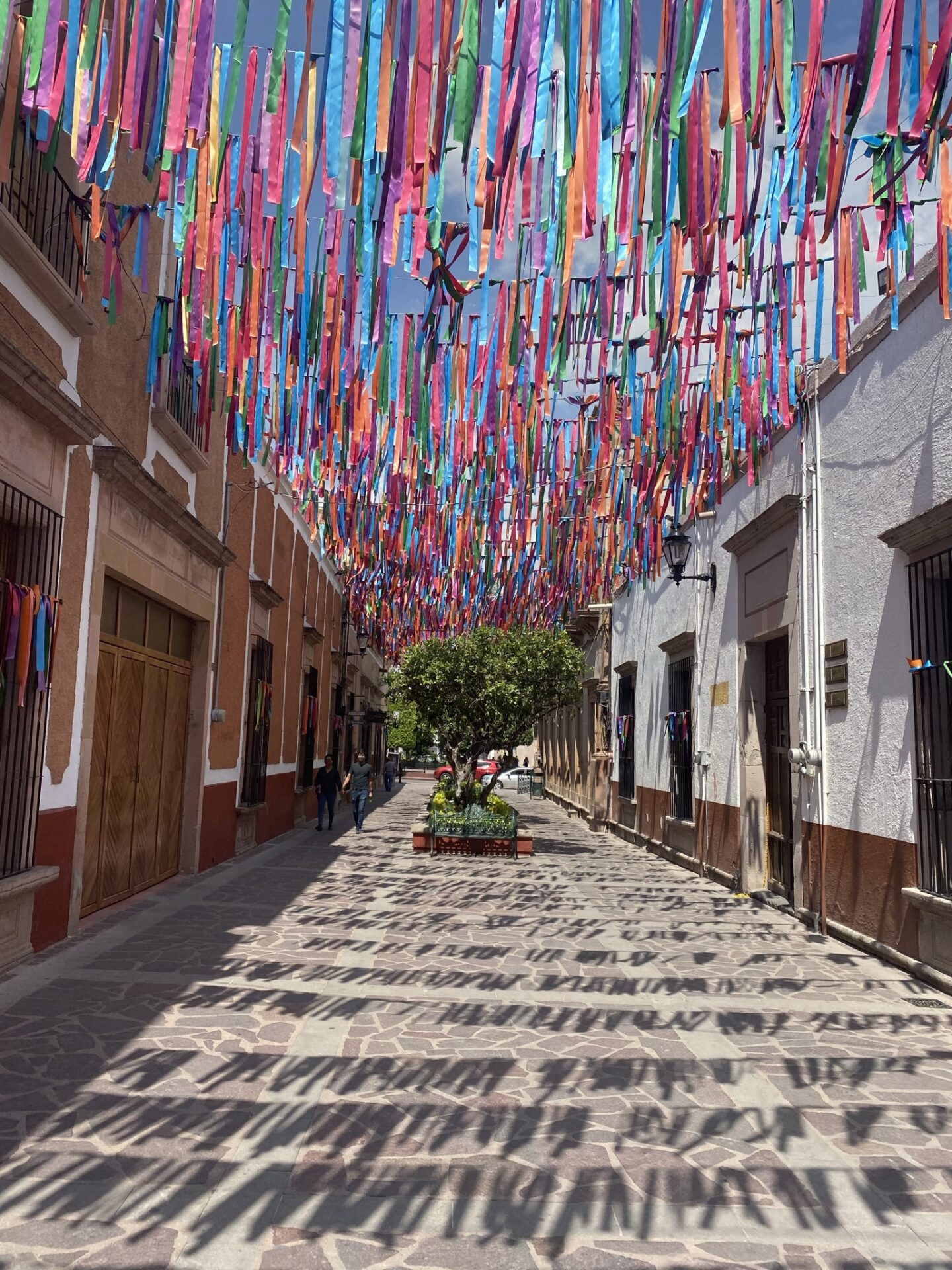 Lagos de Moreno - Best things to see and do in "Athens of Jalisco".