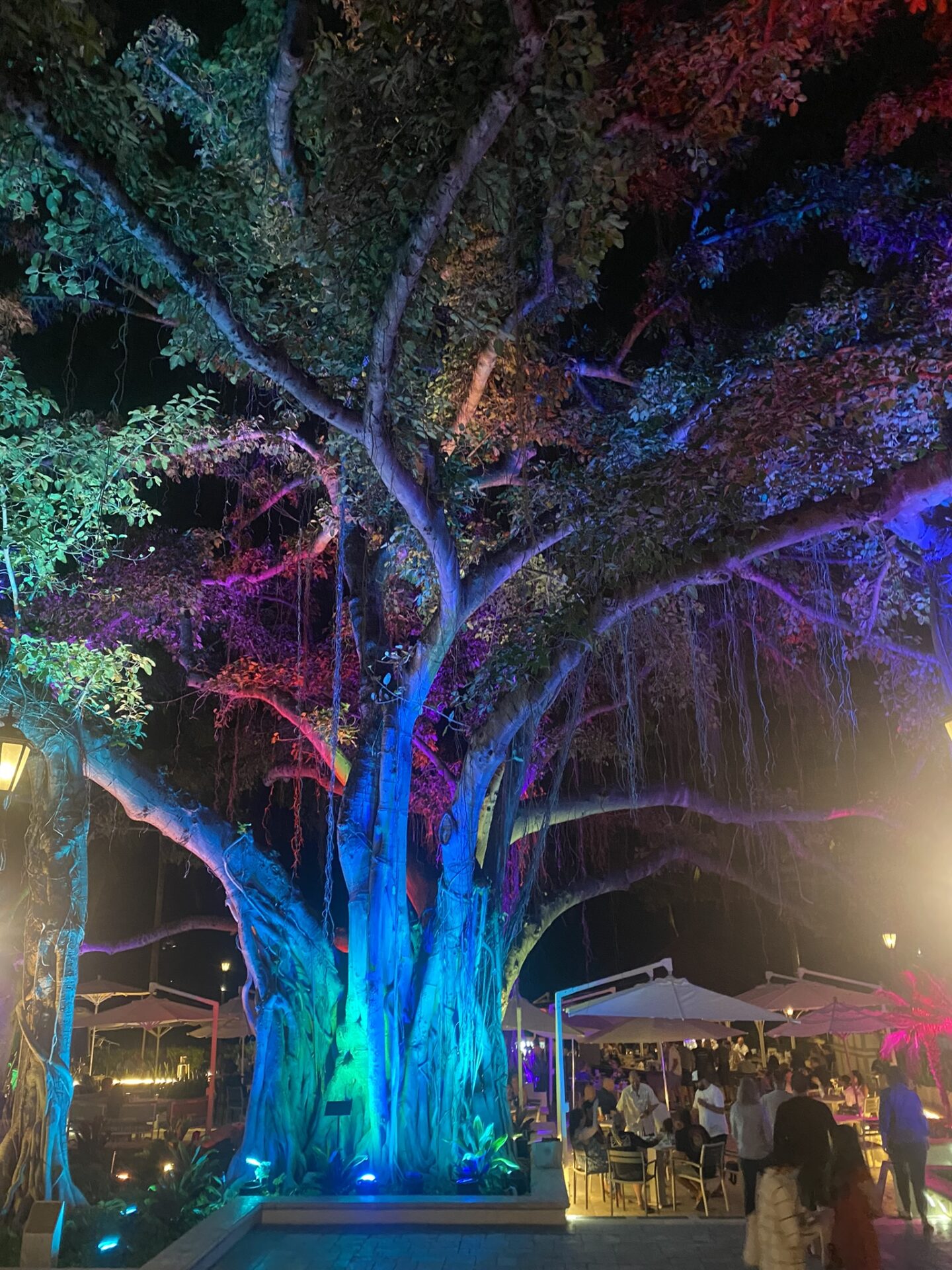 Honolulu Highlights: Top Things to Do on Your First Trip to Hawaii's ...