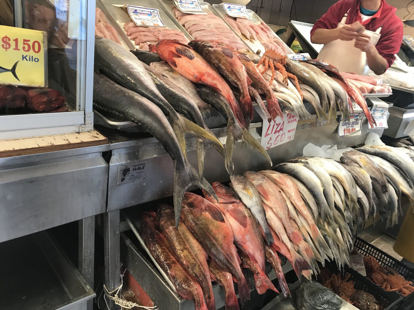 One day trip itinerary from San Diego to Mexico - Places and Recipes