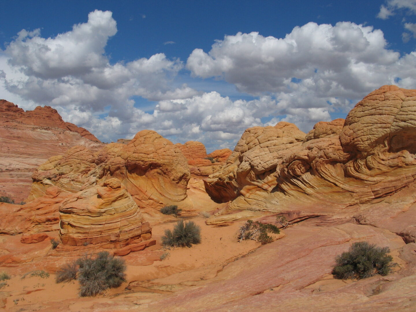 Magical Wave Canyon - How to get a permit and hike Wave