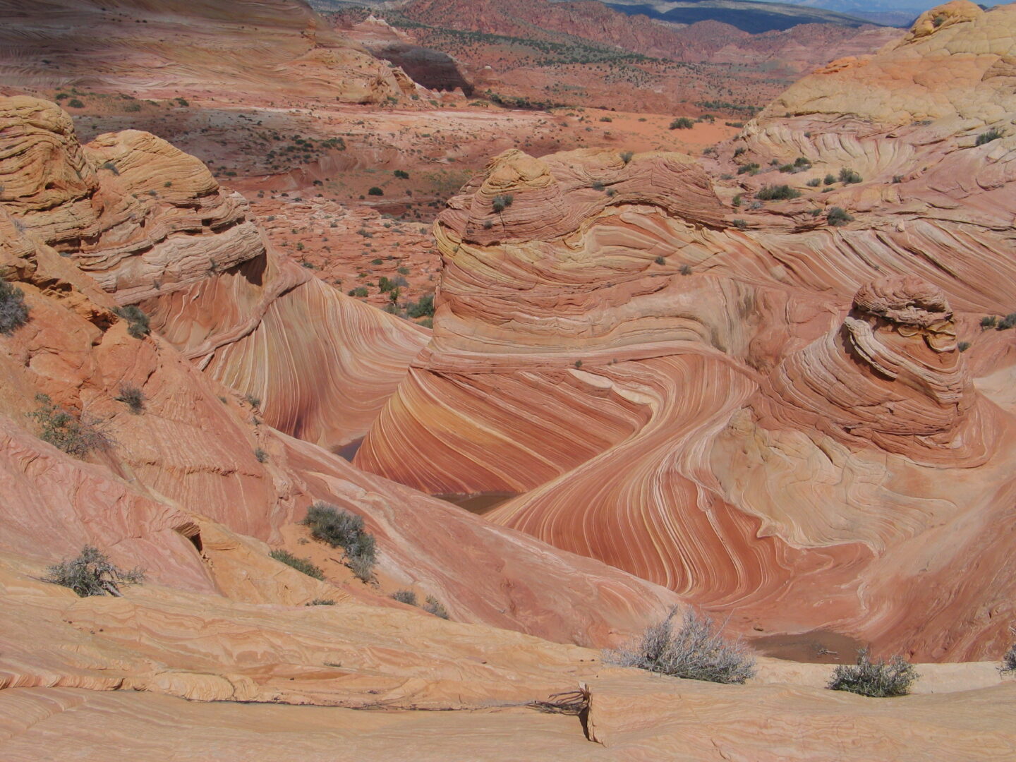 Magical Wave Canyon - How to get a permit and hike Wave
