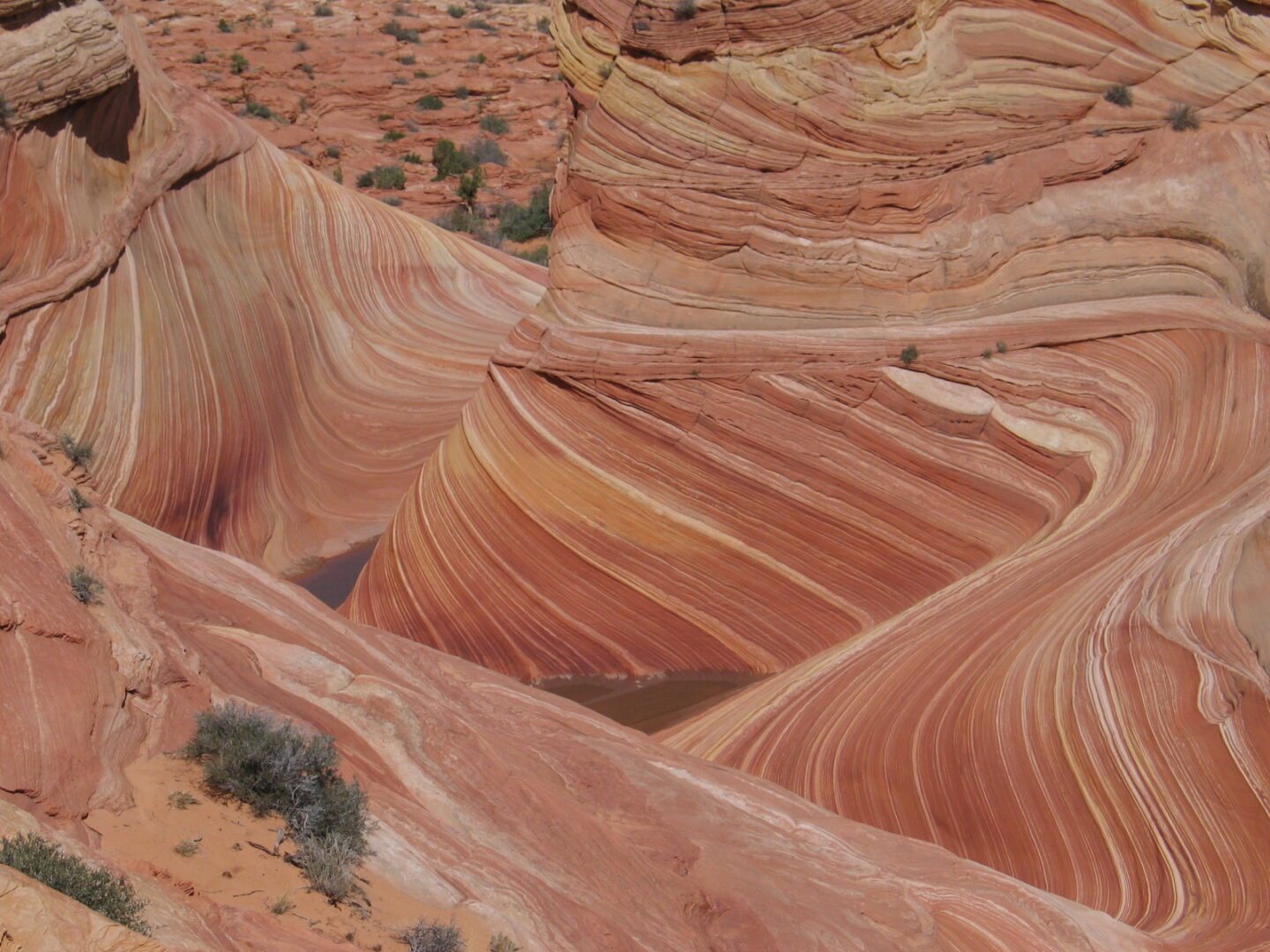 Magical Wave Canyon - How to get a permit and hike Wave
