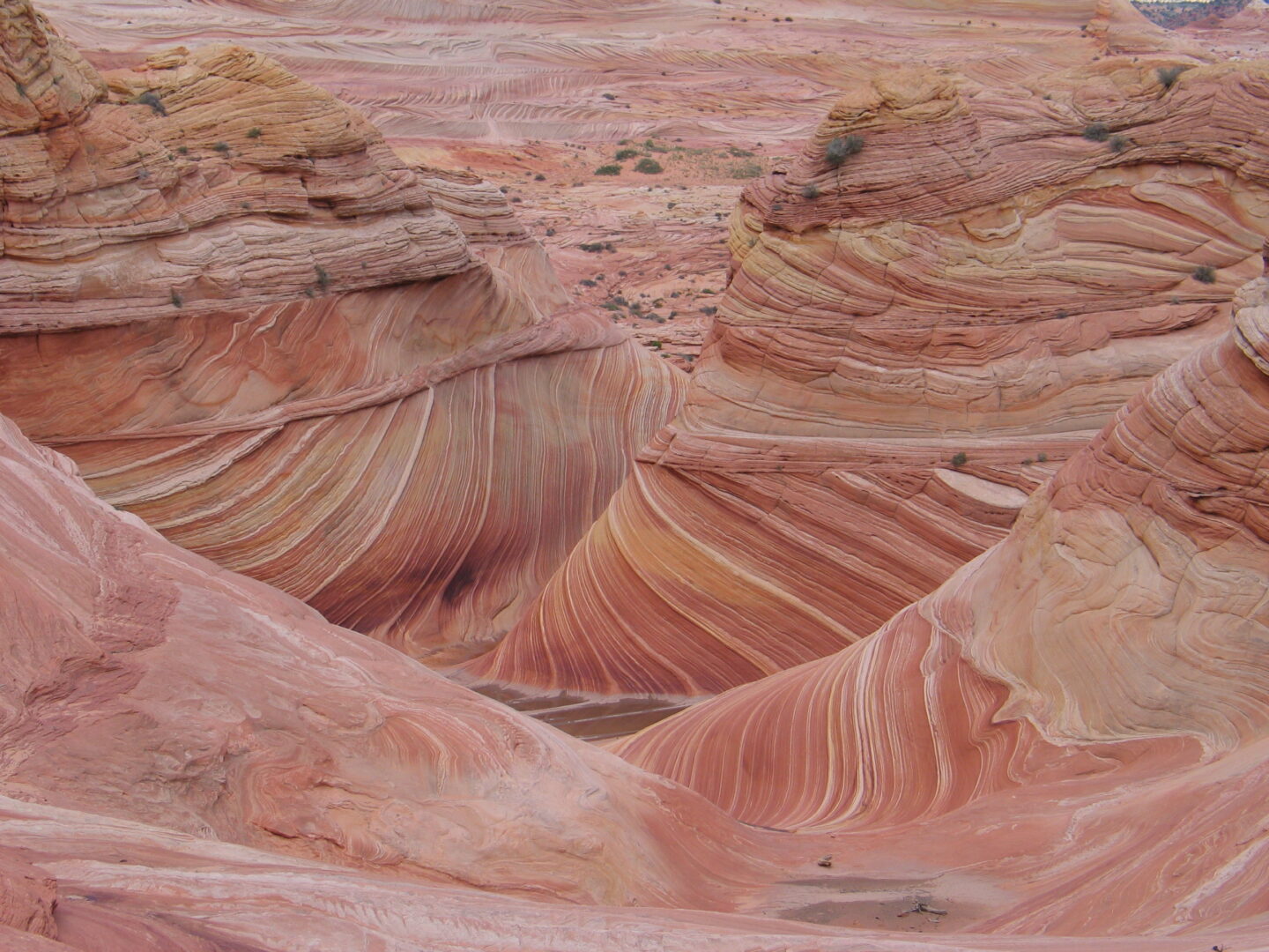 Magical Wave Canyon - How to get a permit and hike Wave