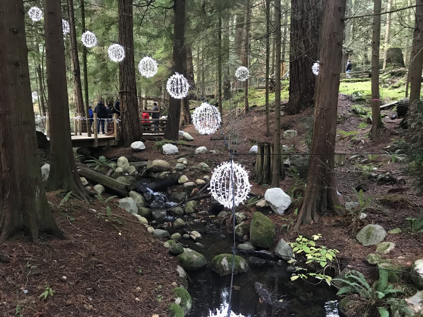 Suspension Bridges Day: Visiting Capilano and Lynn Canyon - Places and ...