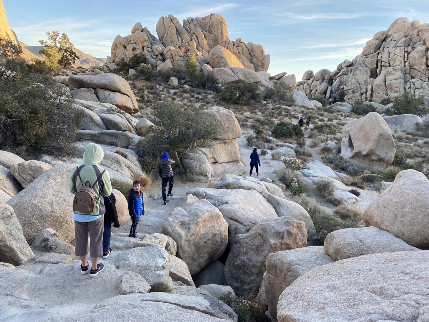 Desert Dreams: A Guide to Joshua Tree's Best Hikes and Sights - Places ...