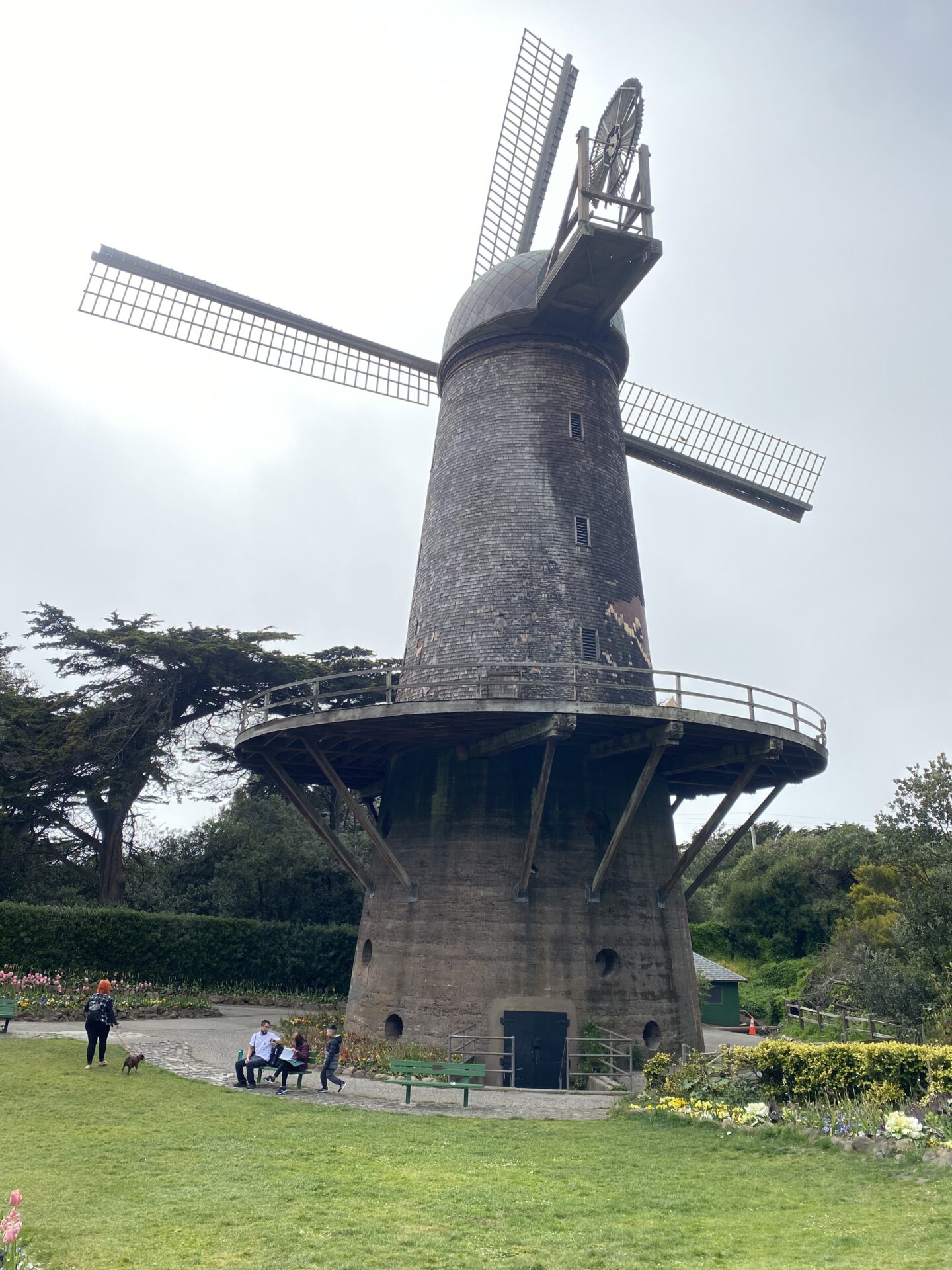 Golden Gate Park's Windmills: Photo Journey - Places and Recipes