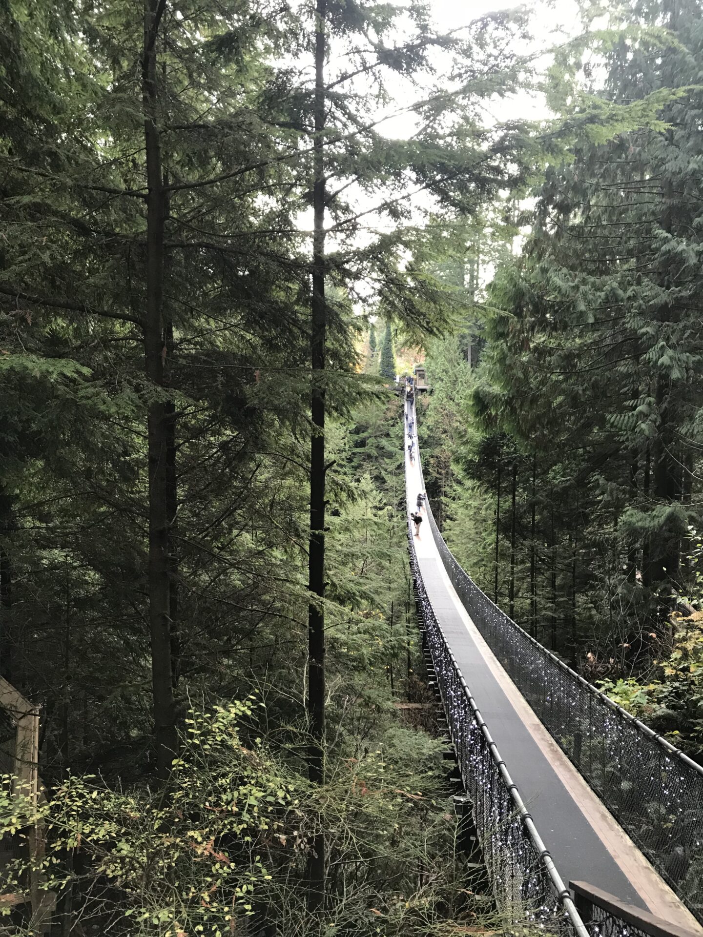 Suspension Bridges Day: Visiting Capilano and Lynn Canyon - Places and ...