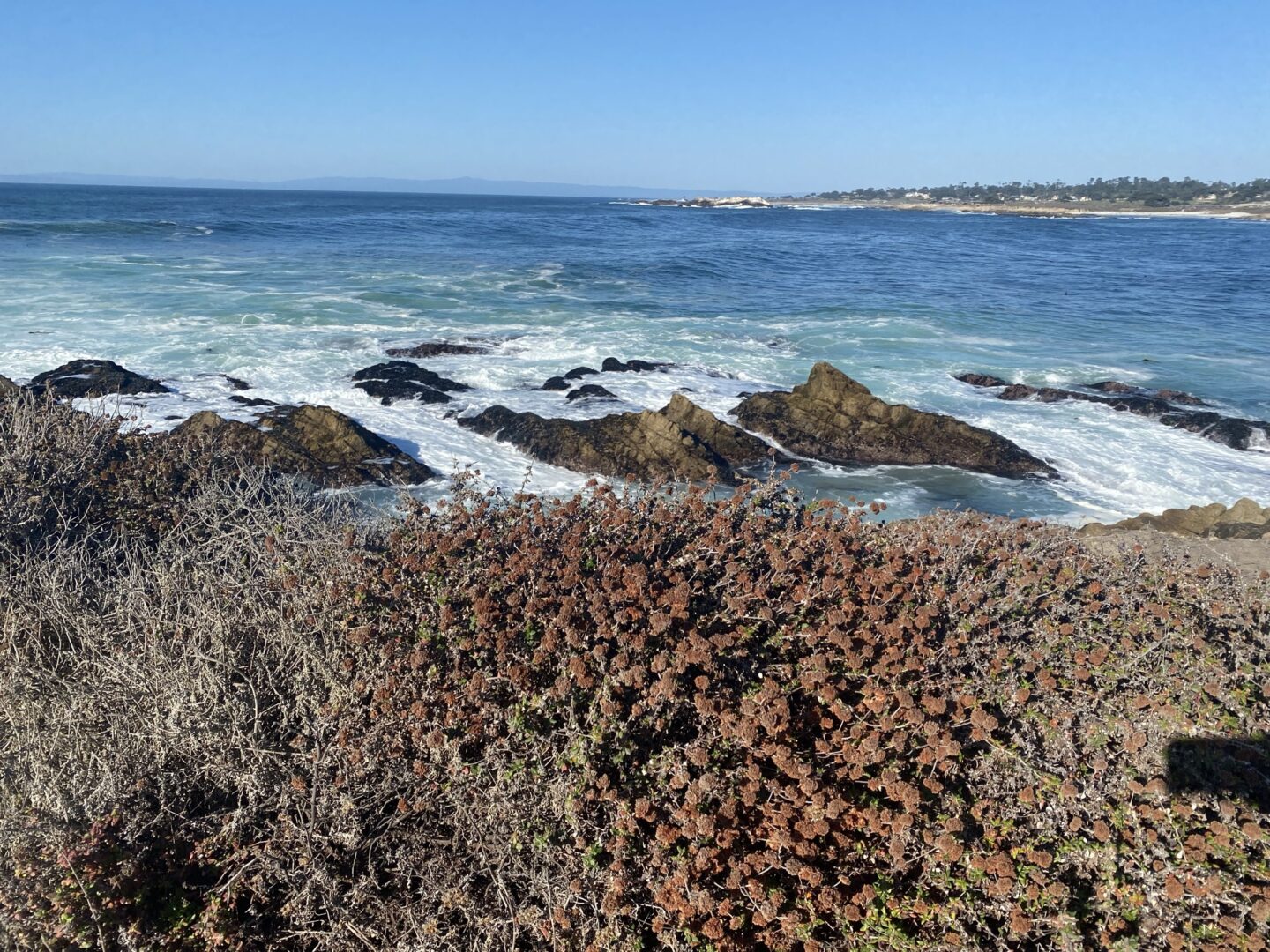 The Ultimate Guide to Driving 17 Mile Drive - Places and Recipes