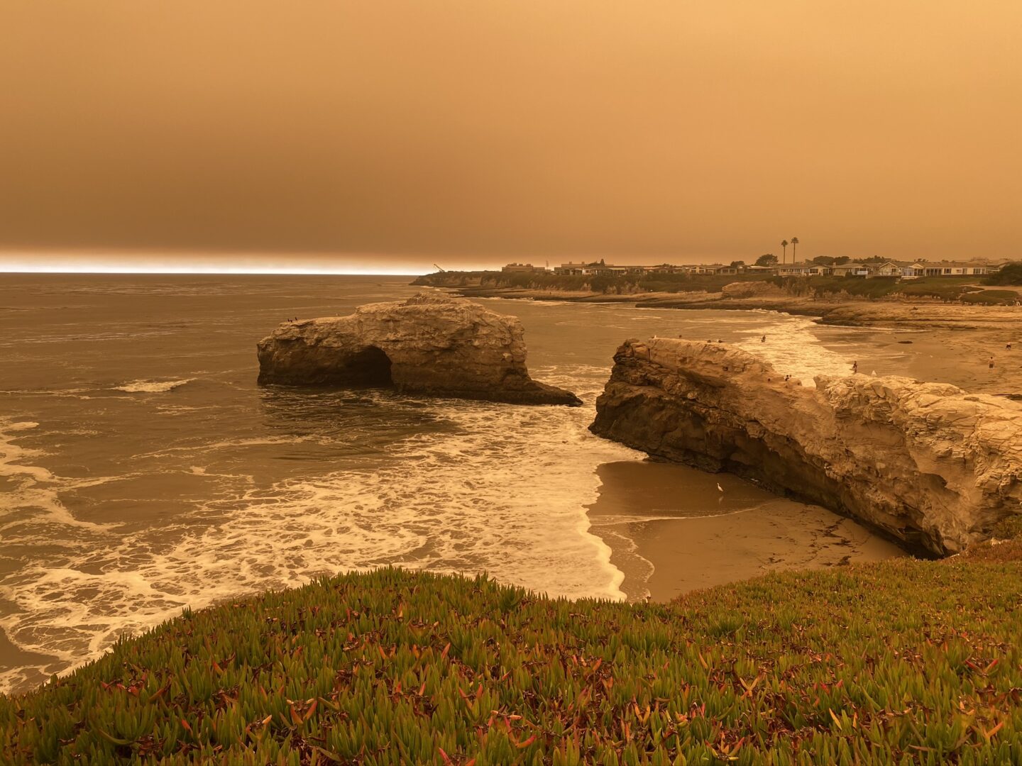 Visiting Santa Cruz: Best things to see and do - Places and Recipes