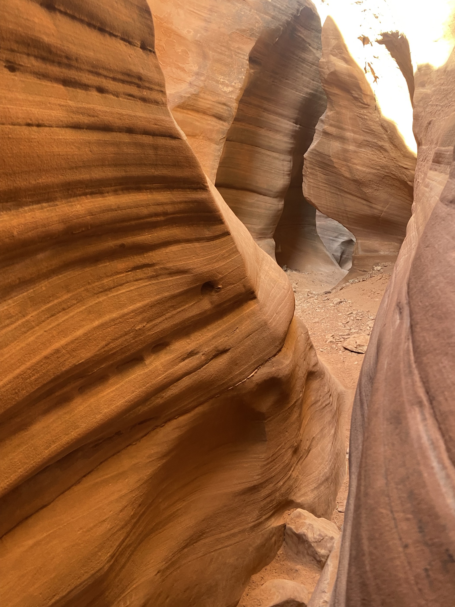Canyon Crawling: An Epic Hike through Peek-a-Boo and Spooky Slot Canyons