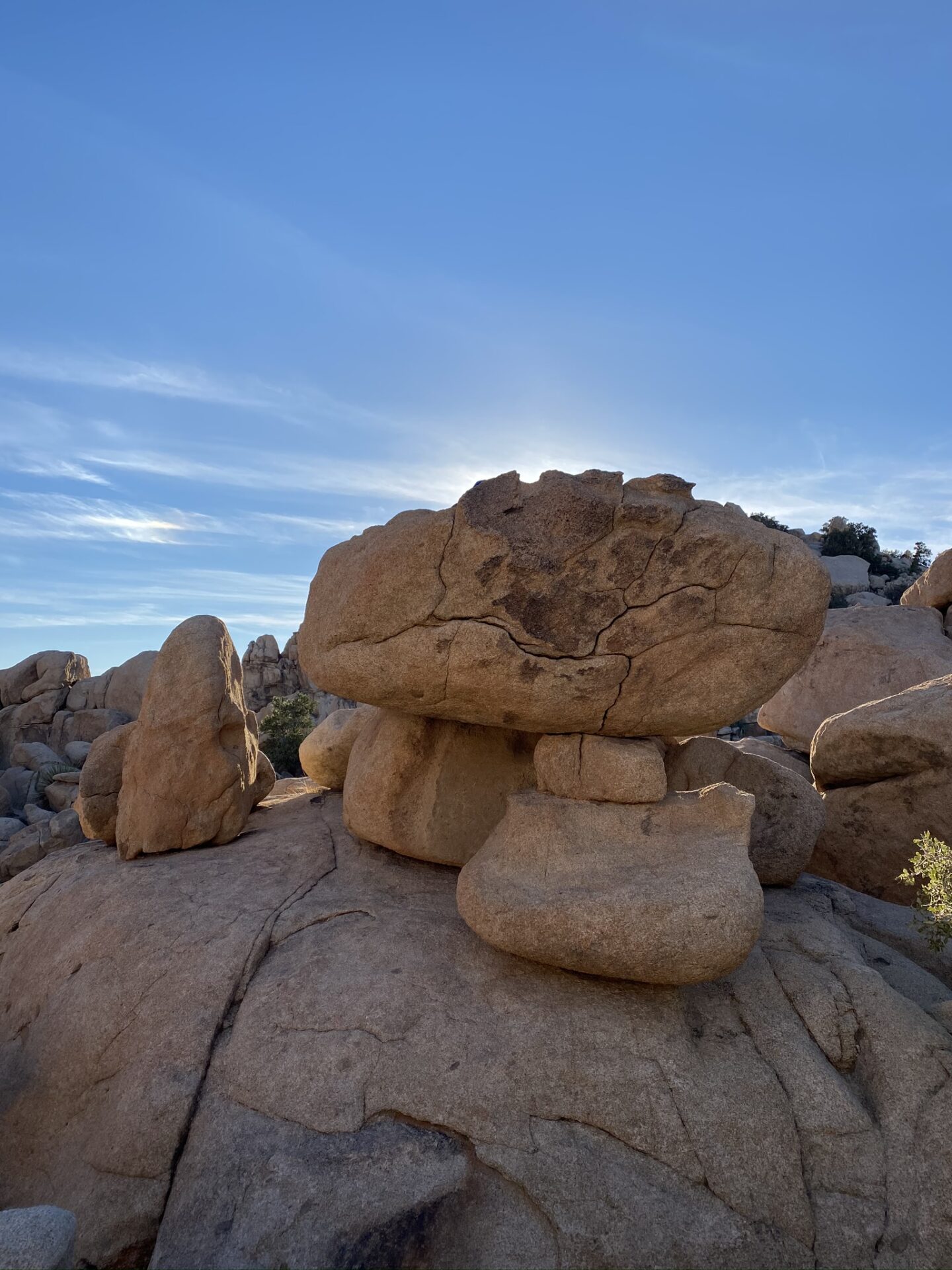 Desert Dreams: A Guide to Joshua Tree's Best Hikes and Sights - Places ...