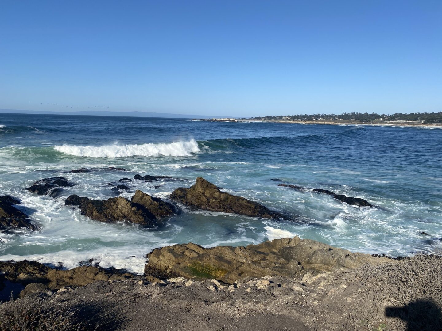 The Ultimate Guide to Driving 17 Mile Drive - Places and Recipes