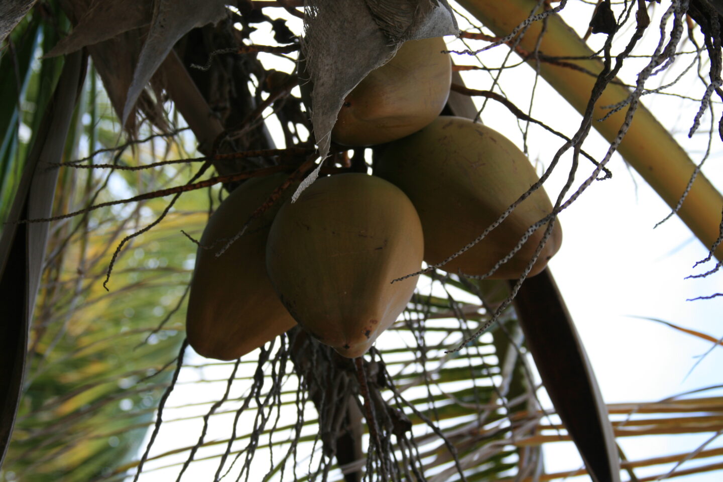 A Day Trip to Culebra Island - Places and Recipes