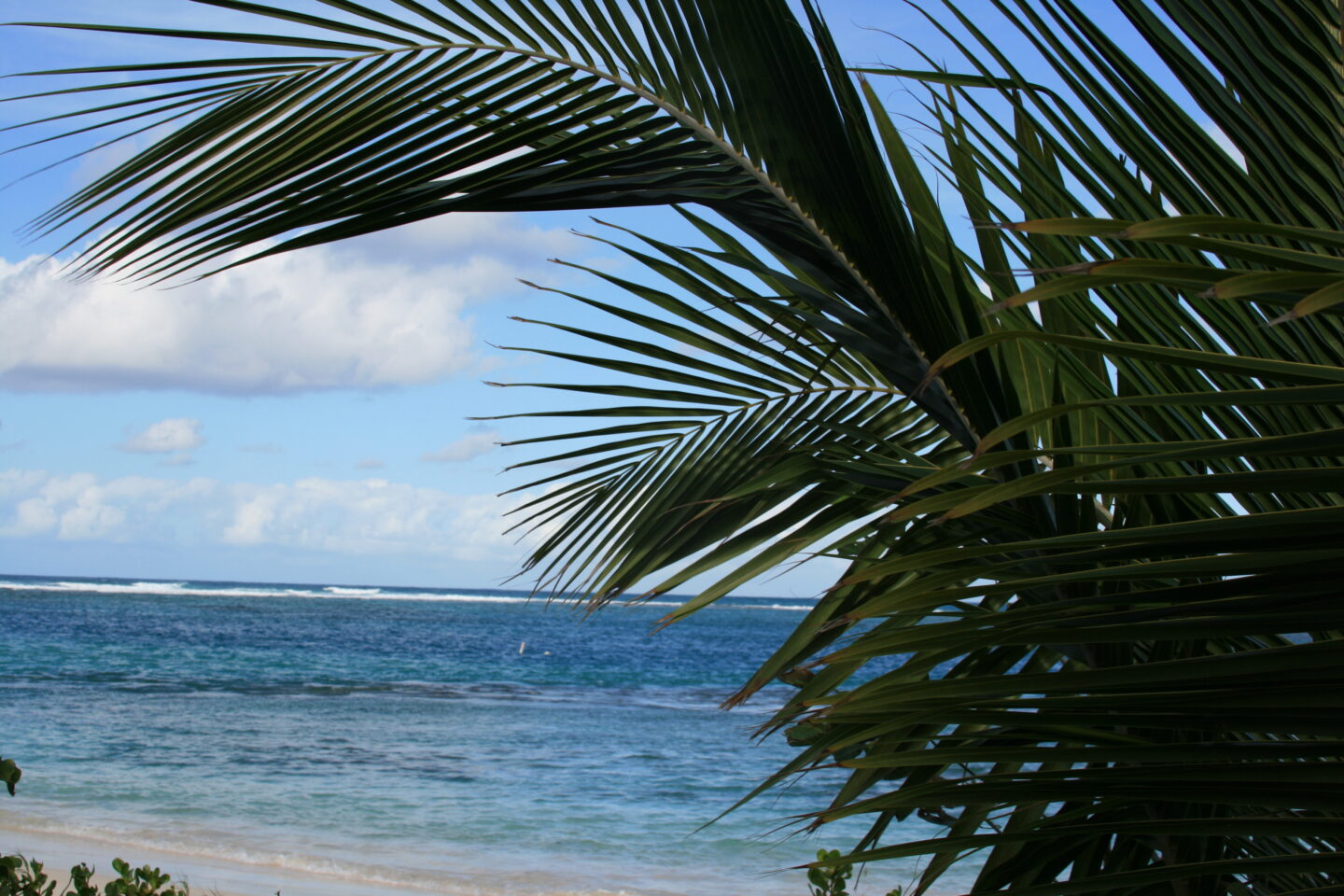 A Day Trip to Culebra Island - Places and Recipes