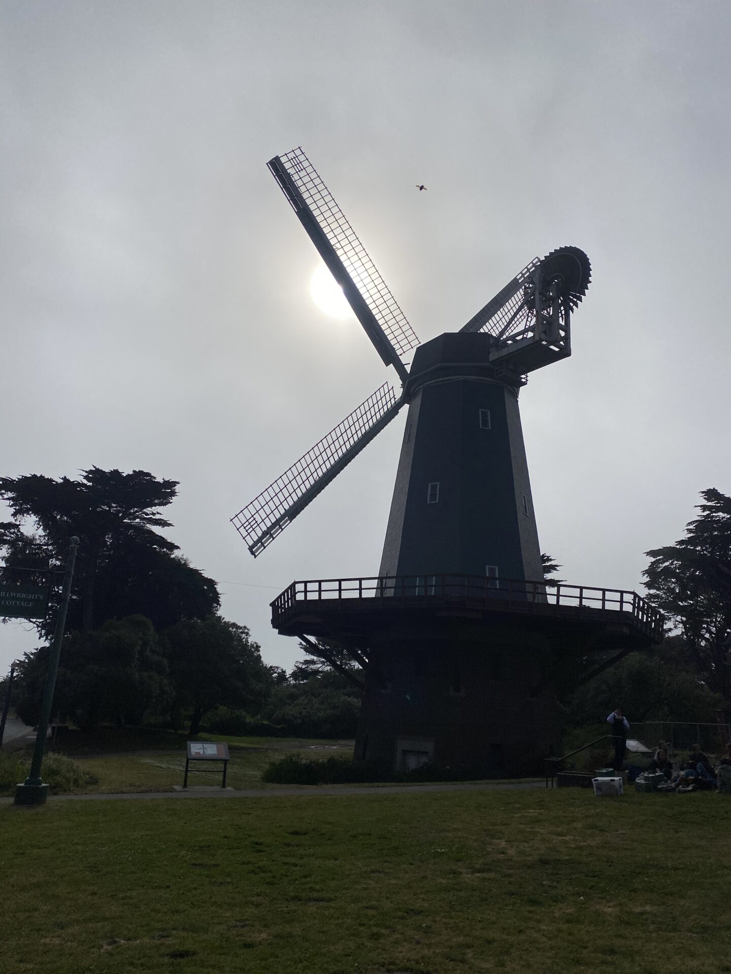 Golden Gate Park's Windmills: Photo Journey - Places and Recipes