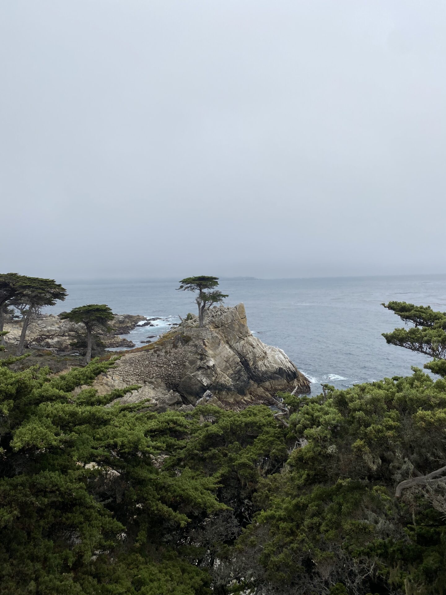 The Ultimate Guide to Driving 17 Mile Drive - Places and Recipes