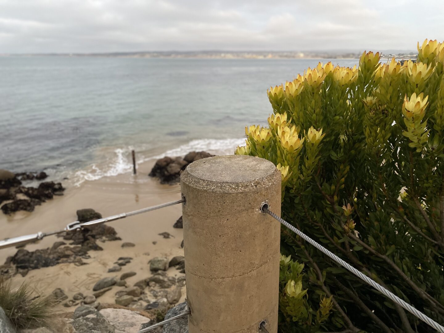 How to spend one Day in Monterey - Places and Recipes