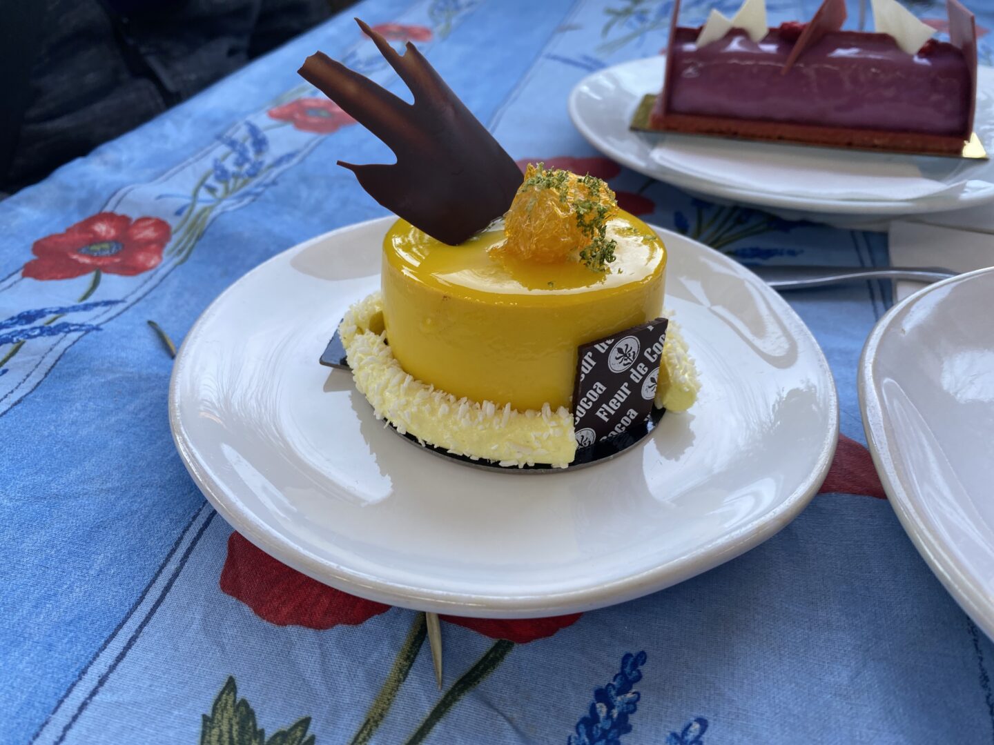 Discovering Los Gatos: A Guide to the Best Local Attractions - Places ...