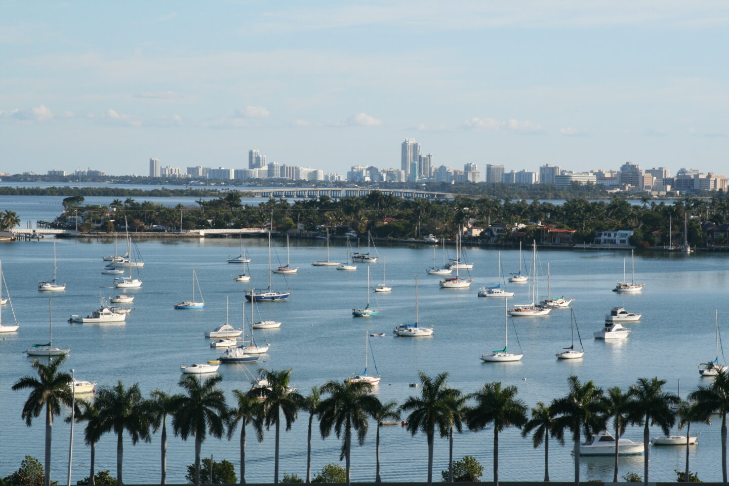 One Day in Miami: Exploring the Gems of the Magic City - Places and Recipes