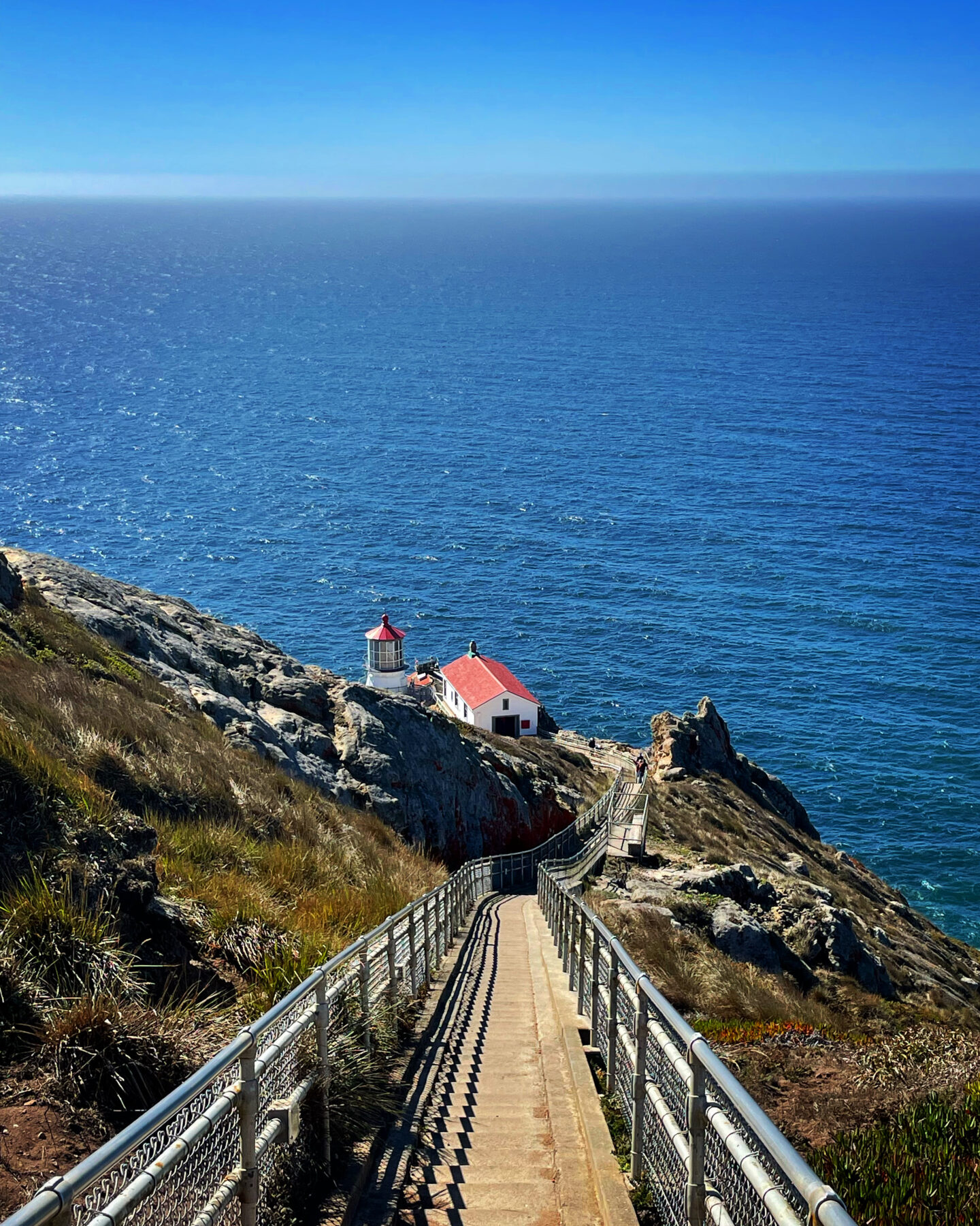 things to do in Point Reyes