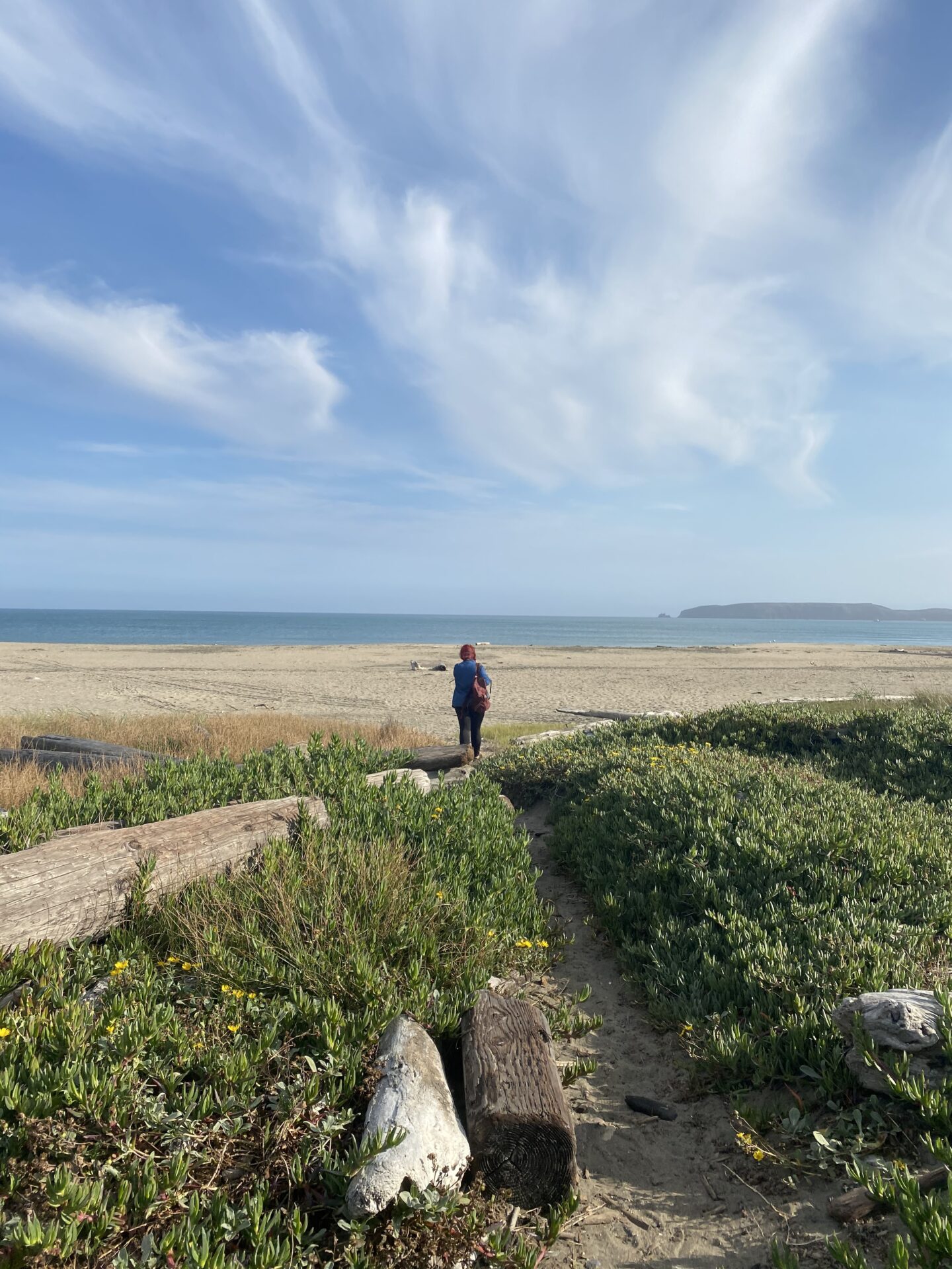 things to do in Point Reyes
