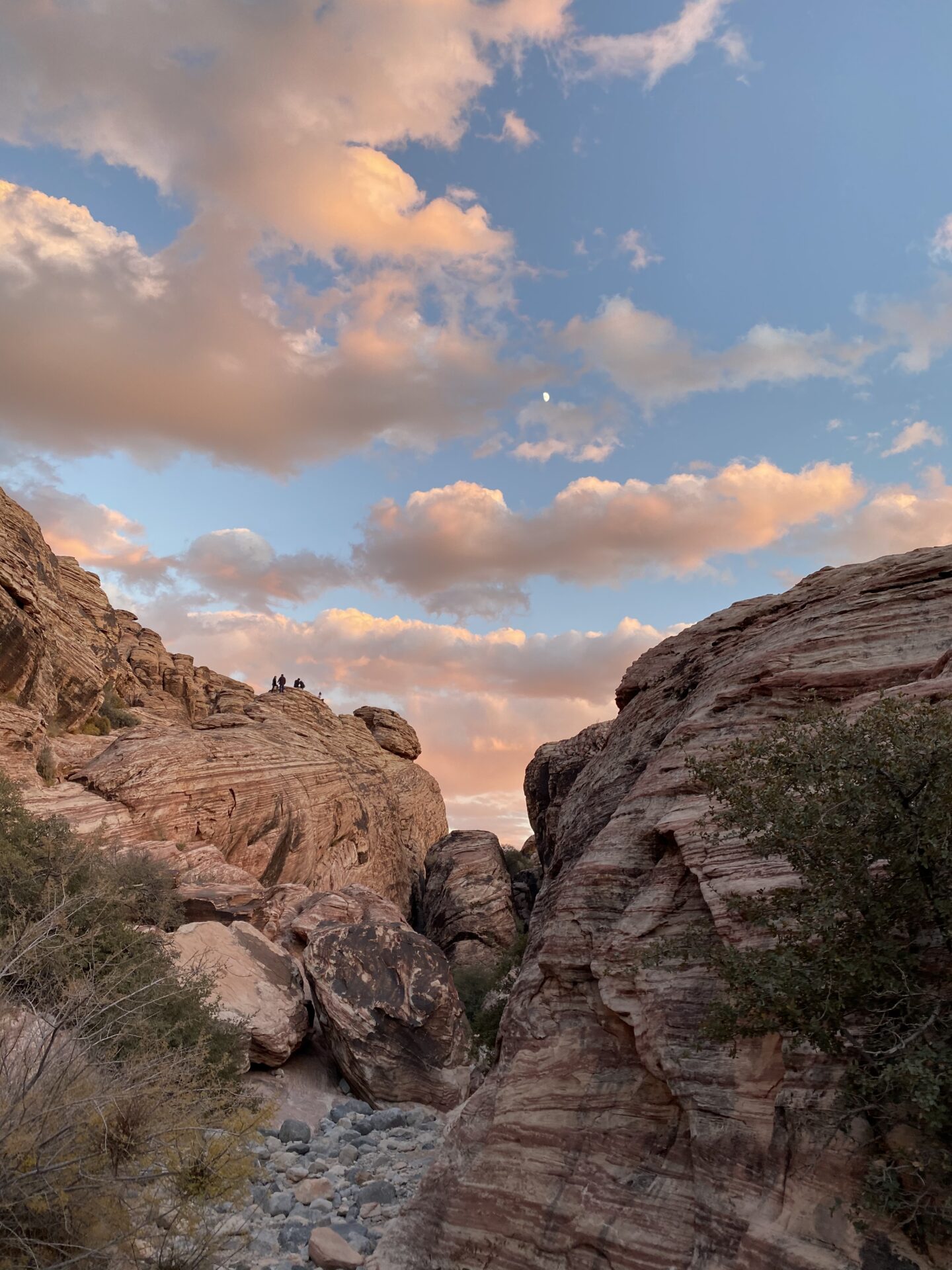 Quick guide for visiting Red Rock Canyon - Places and Recipes