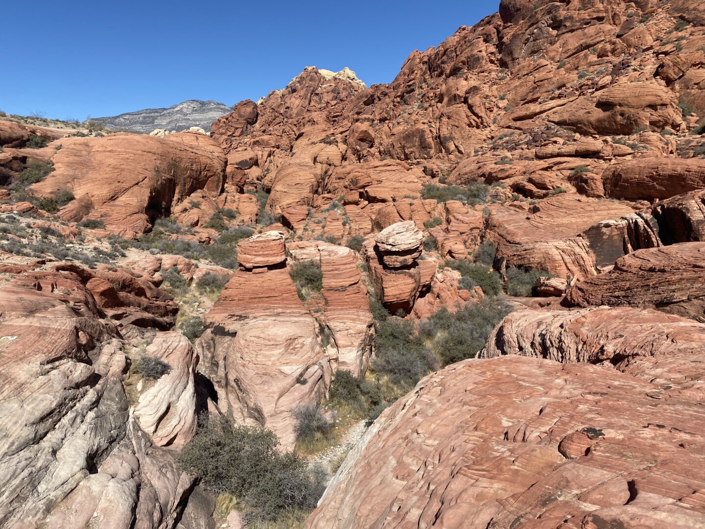 Quick guide for visiting Red Rock Canyon - Places and Recipes