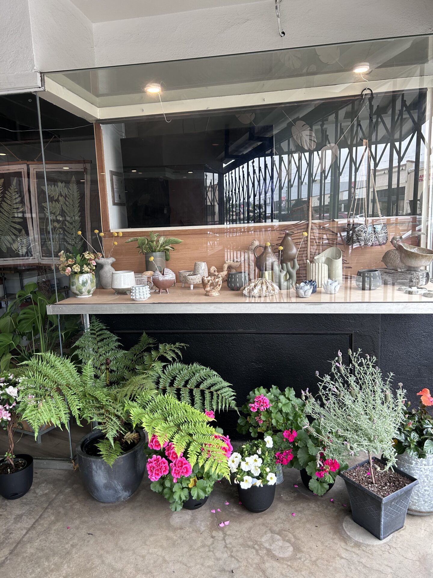 Avocado Capital of the World: What to see and do in Escondido. - Places ...