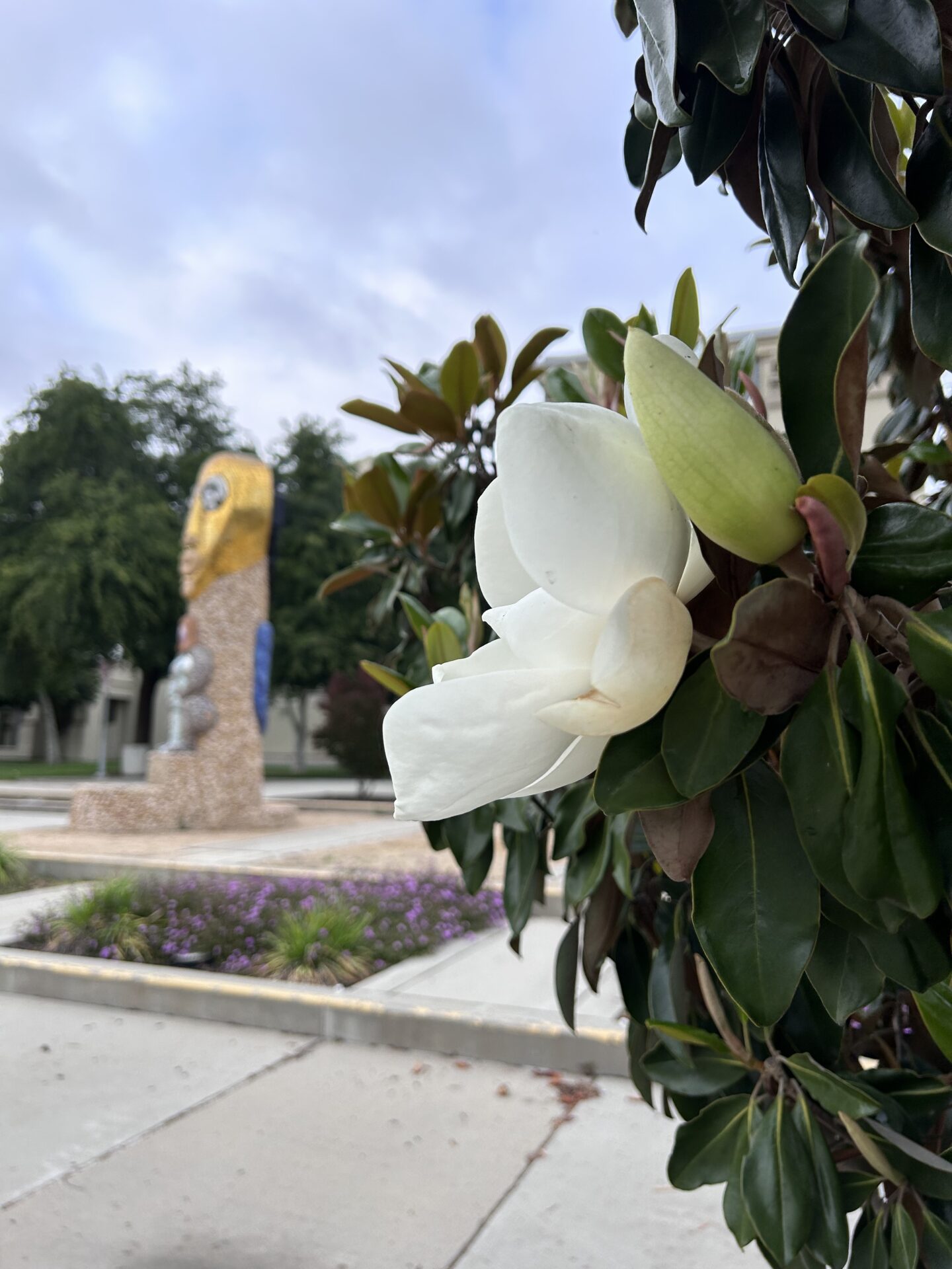 Avocado Capital of the World: What to see and do in Escondido. - Places ...